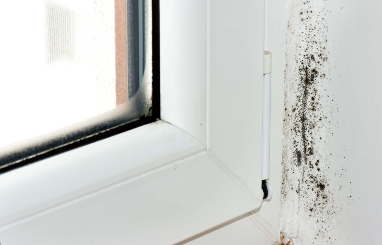 Signs of Mold in the Home - Carolina Homechek, Inc.